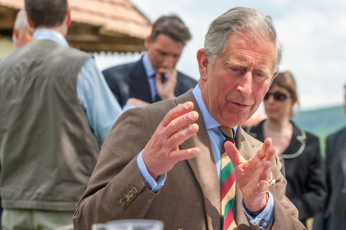 Prince Charles Is Plotting Monarchy Shake-Up When He Becomes King
