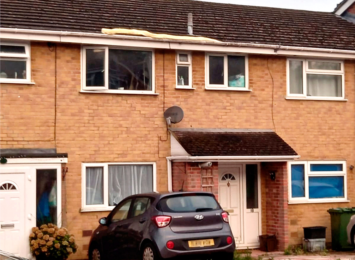 Escaped 18-Foot Python Slithers Through Window Into Bedroom