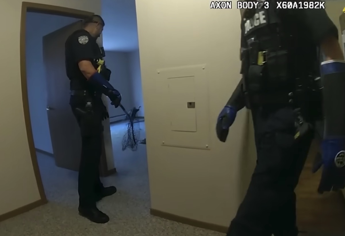 Wild Turkey Dodges Cops In Slapstick Apartment Chase