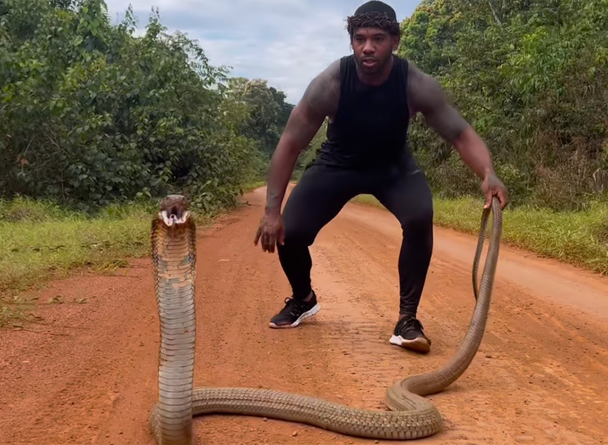 Famous Snake Catcher Escapes Getting Bitten Giant King Cobra