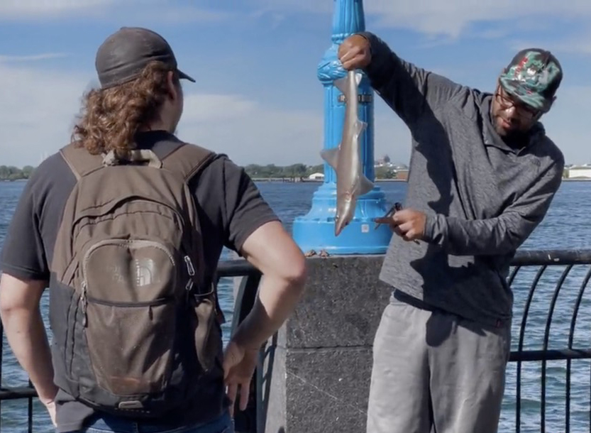 Video Shows Man Catching Shark in NYC’s Hudson River