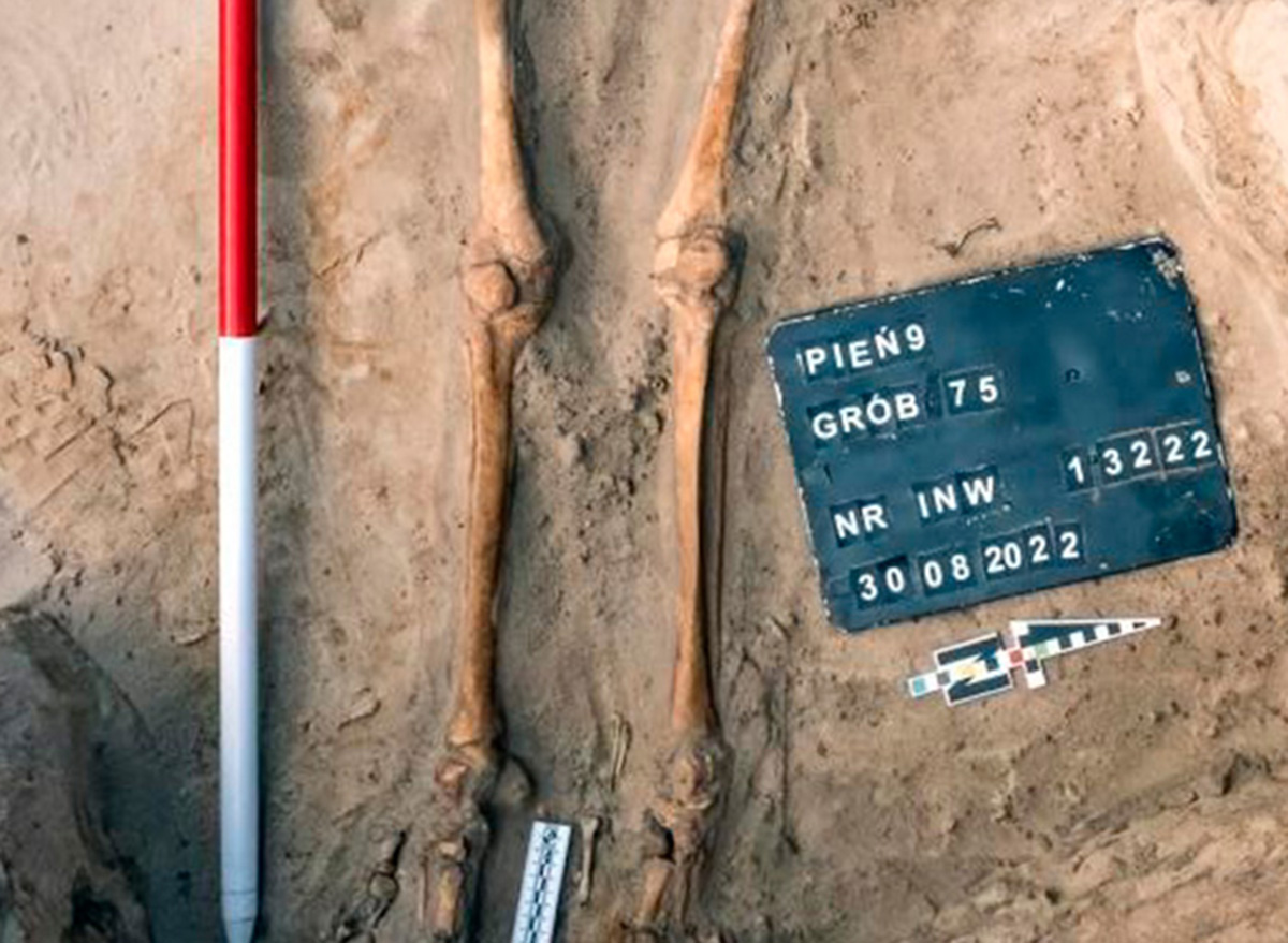 Skeleton of Female "Vampire" Unearthed at Cemetery