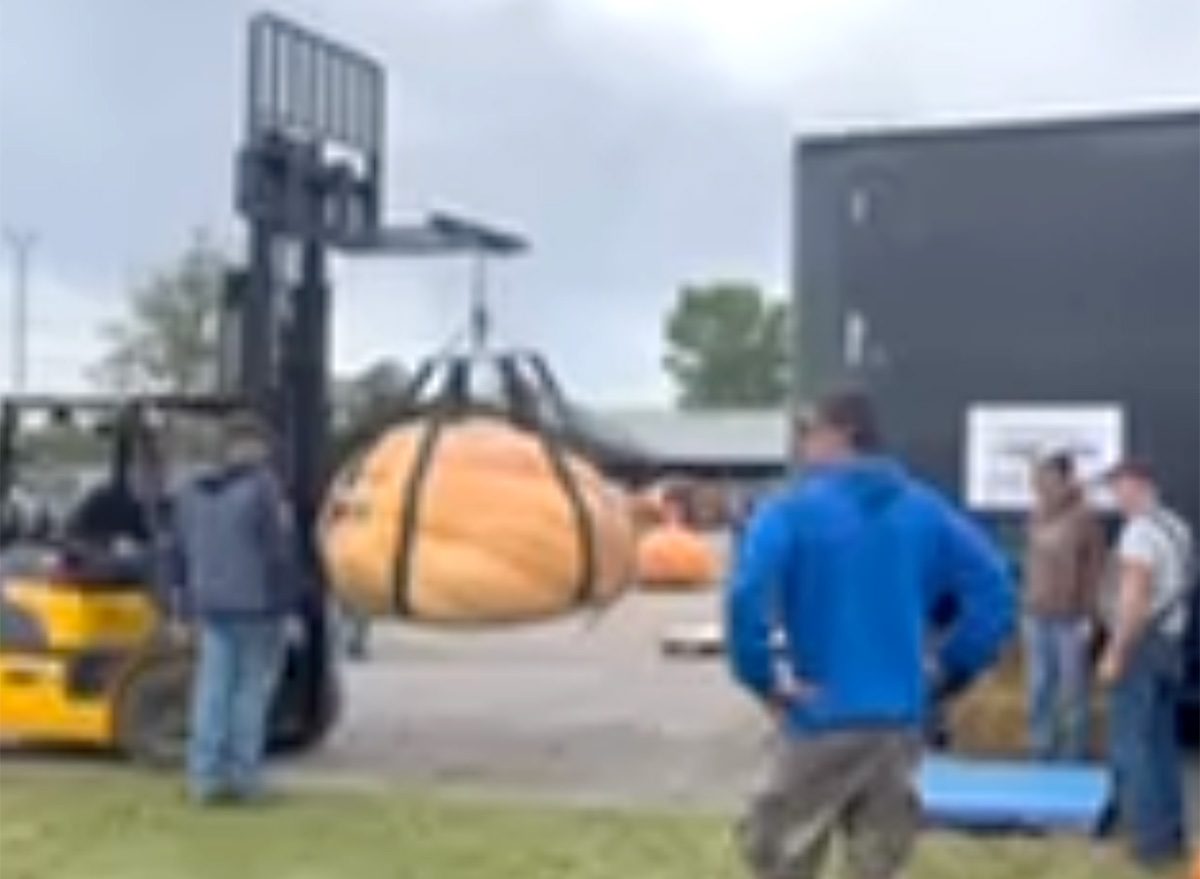 Video Shows the Record-Beating 2,554-Pound Monster Pumpkin