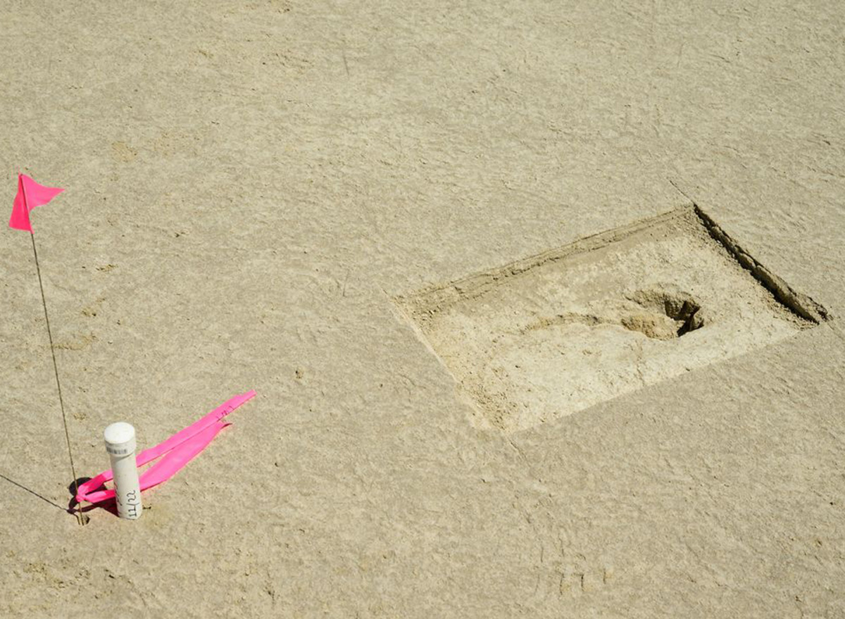 The 10 Most "OMG" Science Discoveries of 2022