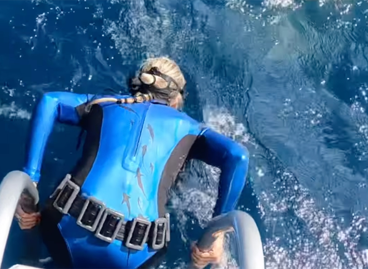 Video of Diver Narrowly Dodging Tiger Shark As She Enters Water