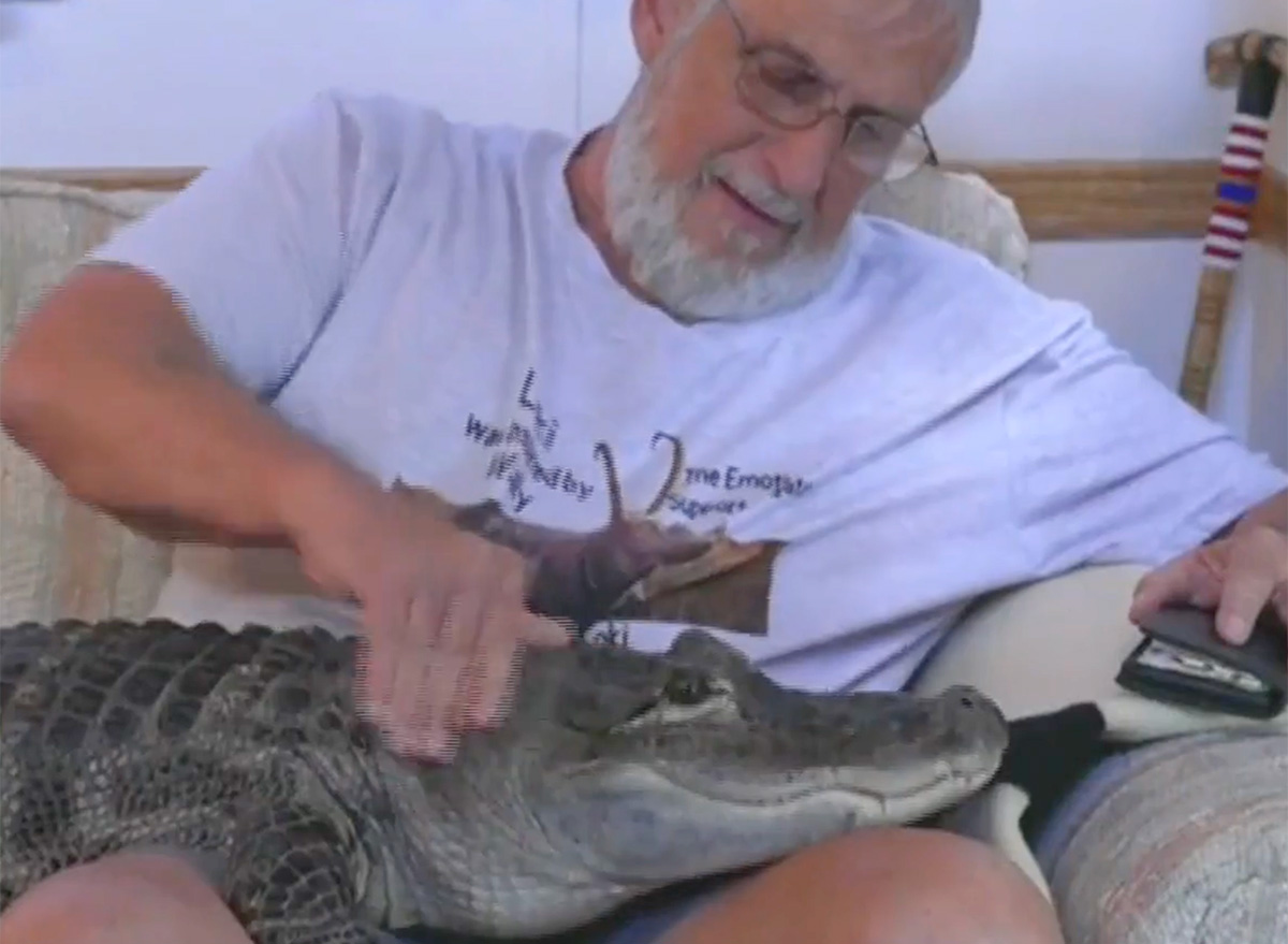 Pennsylvania Man's Alligator Becomes Emotional Support Animal