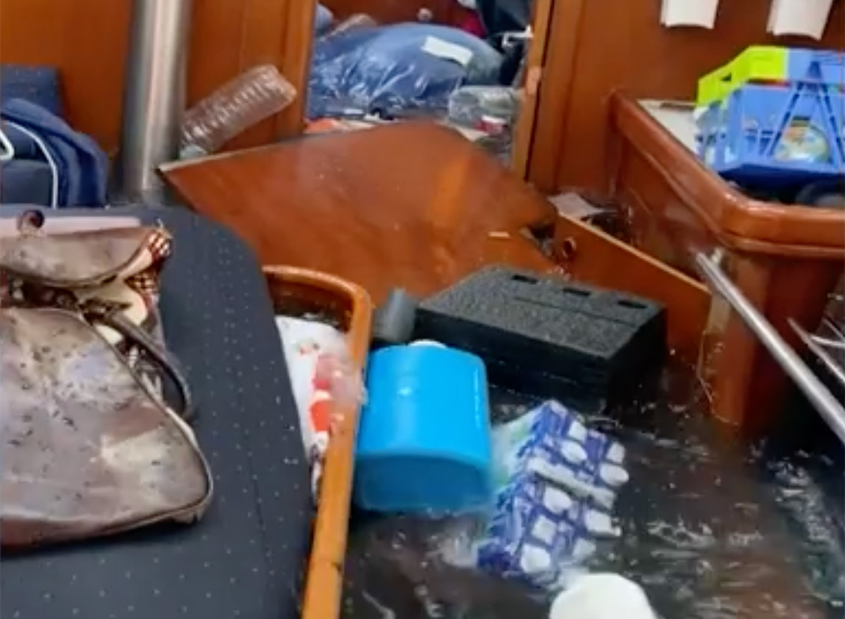 Gang of Violent Orcas Attack and Sink Boat in Atlantic