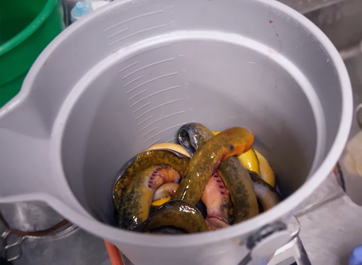 Video Scientists Making a “Nightmarish Coffee” From Parasitic Fish