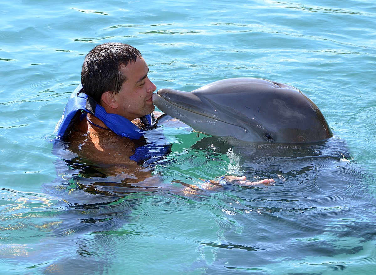 Yes, Dolphins Can Whistle Their Names, New Study Proves