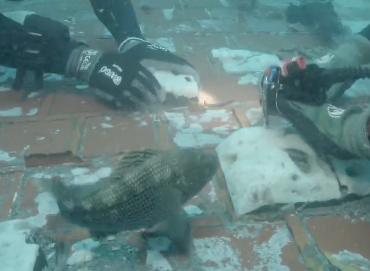 Divers Discover Space Shuttle Wreckage Near Bermuda Triangle