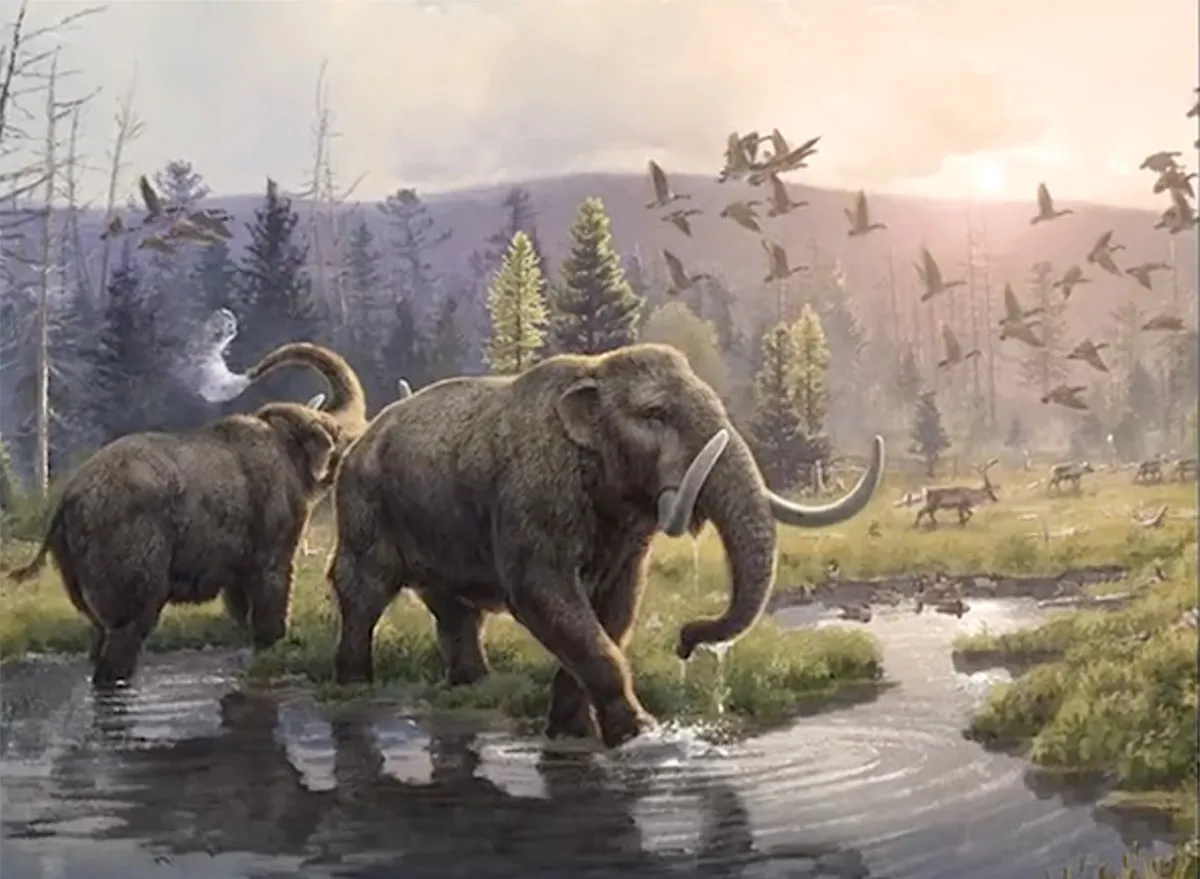 The Oldest DNA Ever Discovered Could Explain Humans Evolution