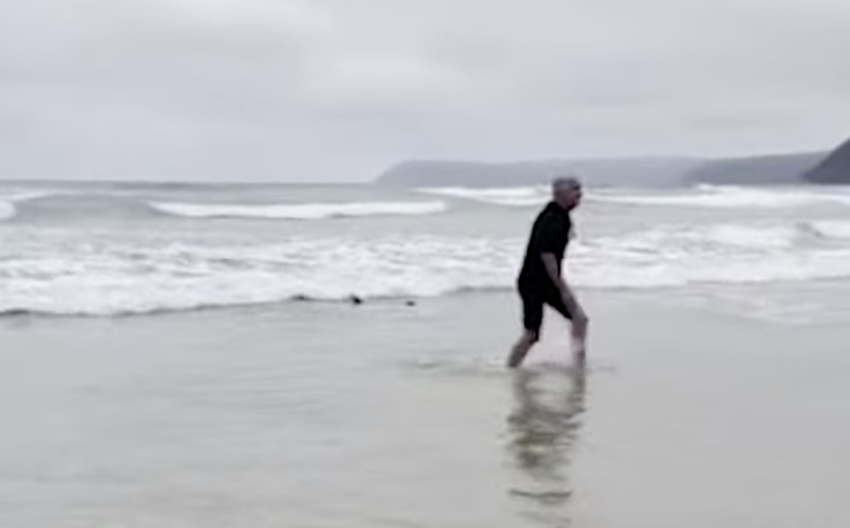 Scary Moment Hero Surfer Carries Stranded Shark Back out to Sea