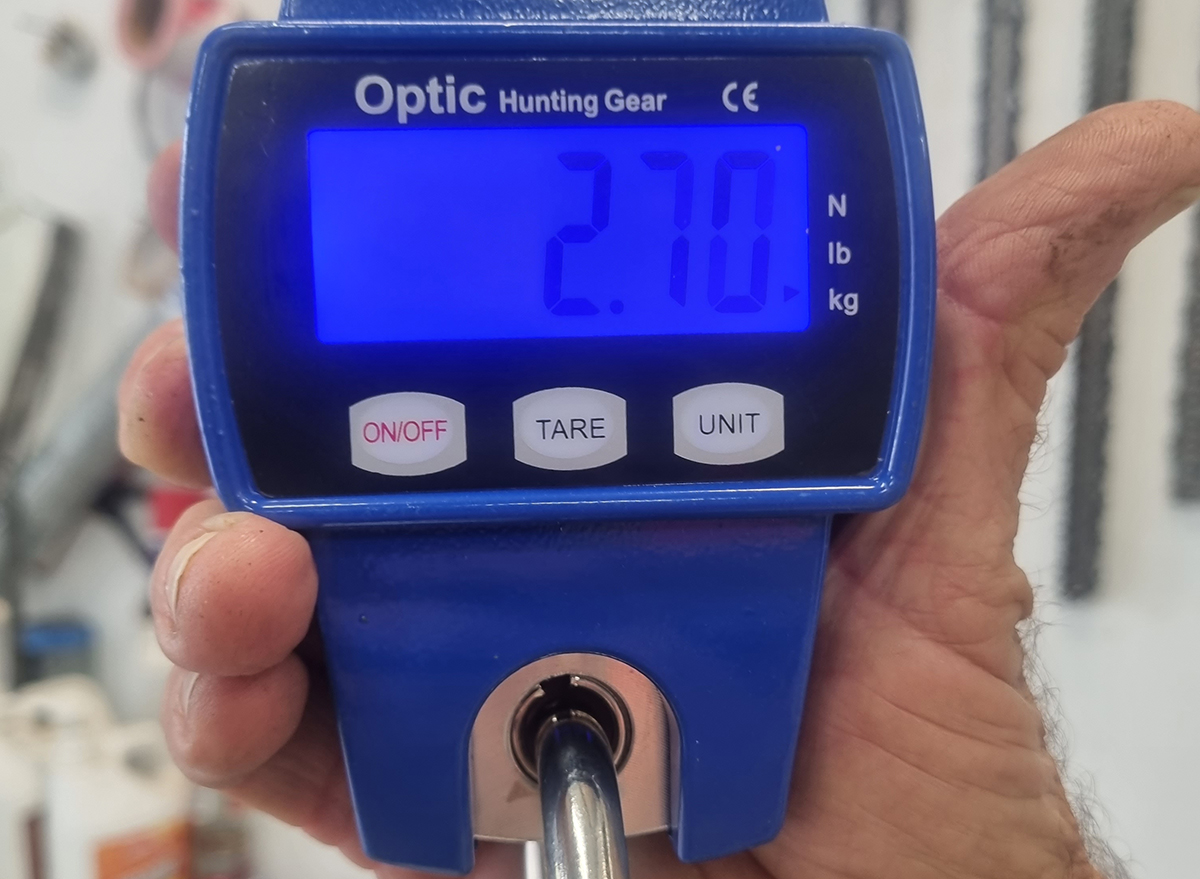 “Toadzilla" Caught in National Park Can Produce 30,000 Eggs