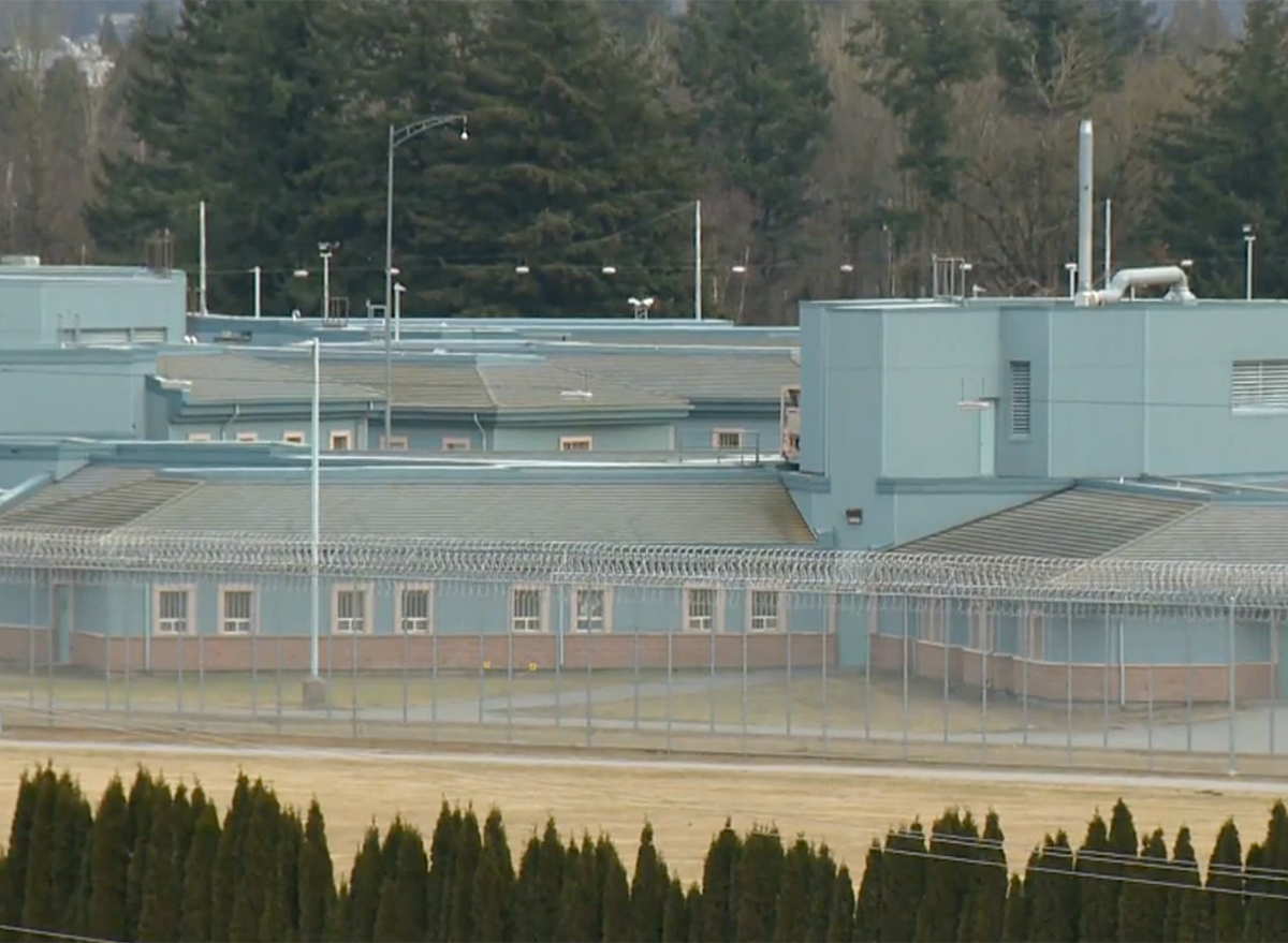 Pigeon With Drug-Filled Miniature Backpack Caught in Prison Yard