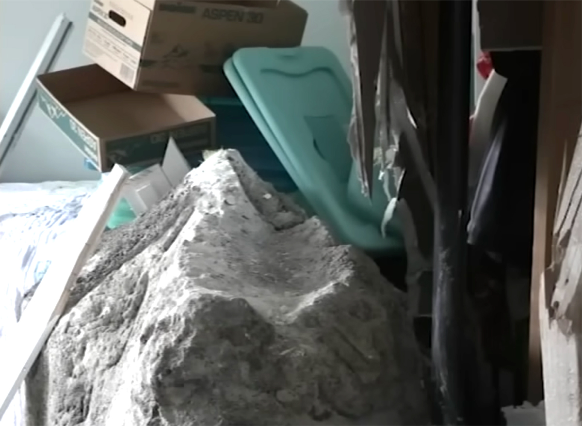 Woman Avoids Being Crushed by Boulder Crashing Through Home