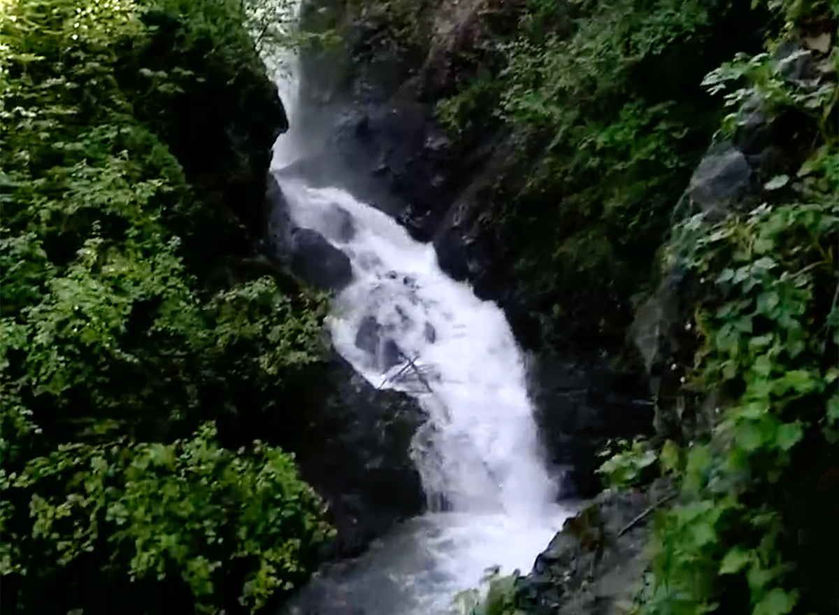 Teen Killed Best Friend Catfisher Offered $9M for Murder Video