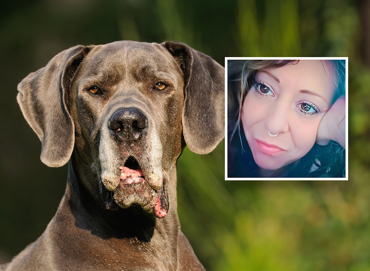A Woman Was Mauled to Death by Her Neighbor’s Great Danes