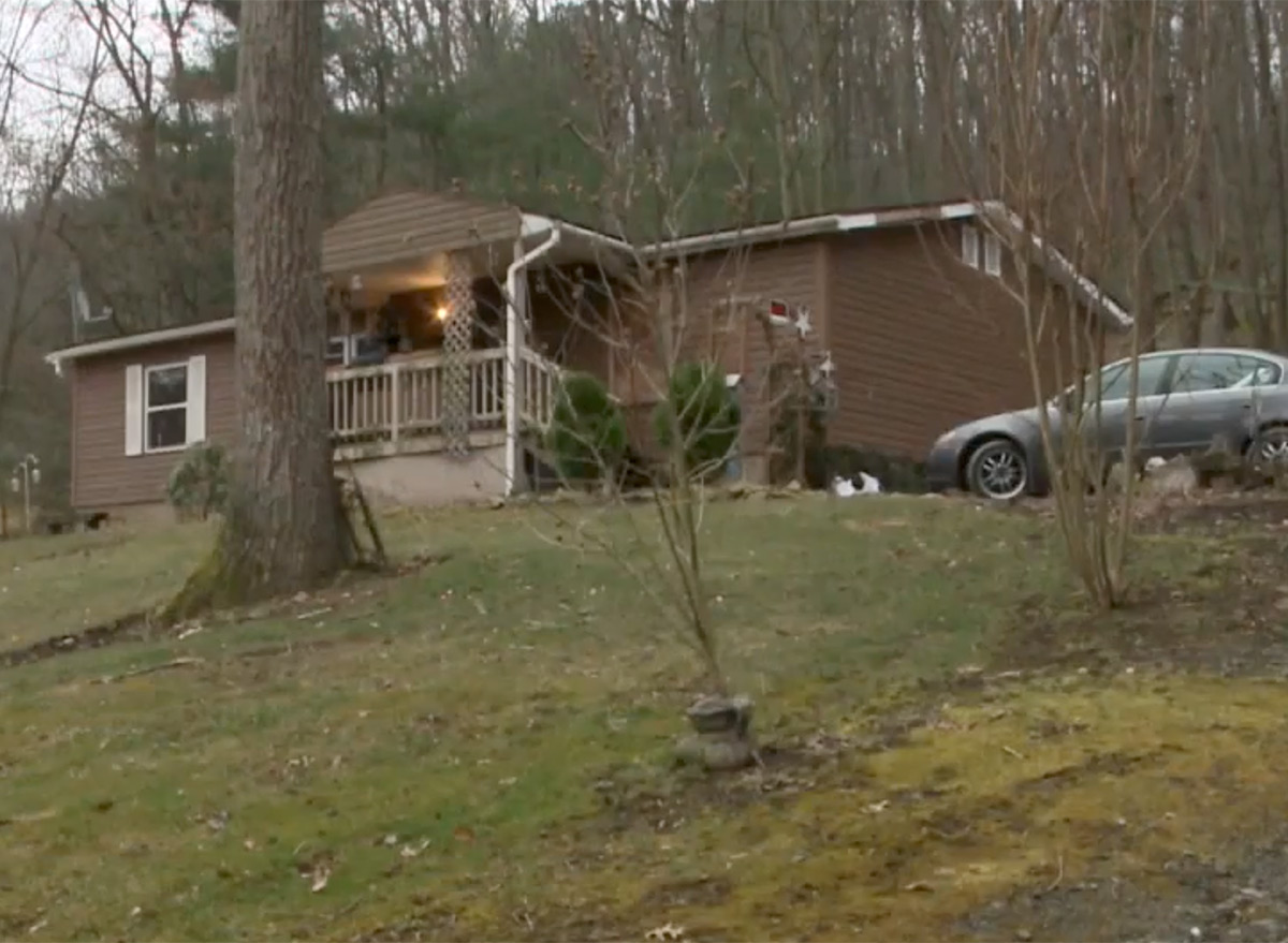 A Woman Was Mauled to Death by Her Neighbor’s Great Danes