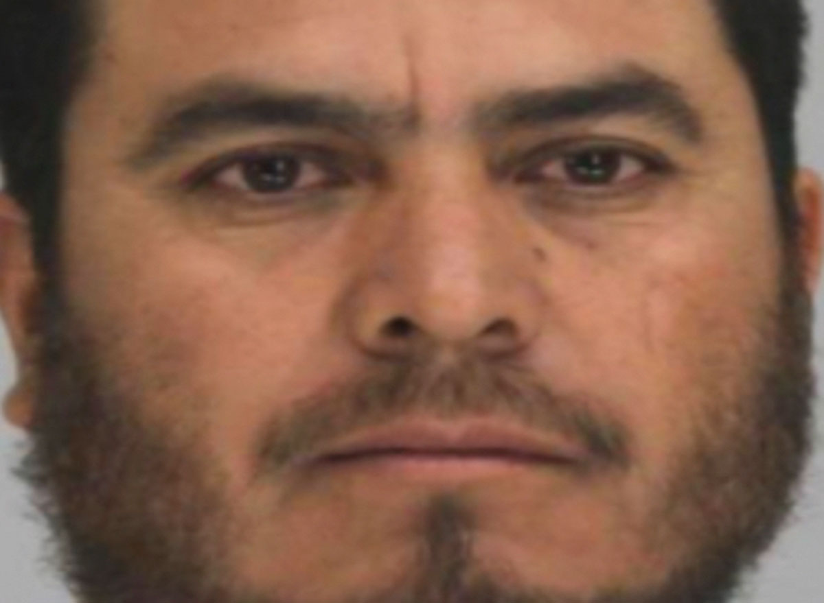 Man Abandoned His Dog in Broad Daylight Arrested and Charged