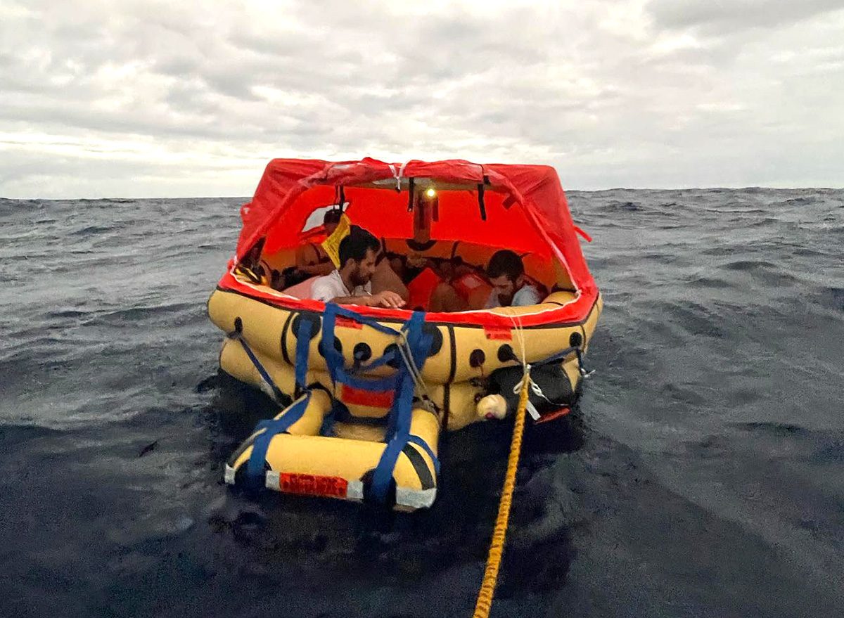 Whale Attack Sinks Sailboat in Pacific, Leaving Crew Stranded