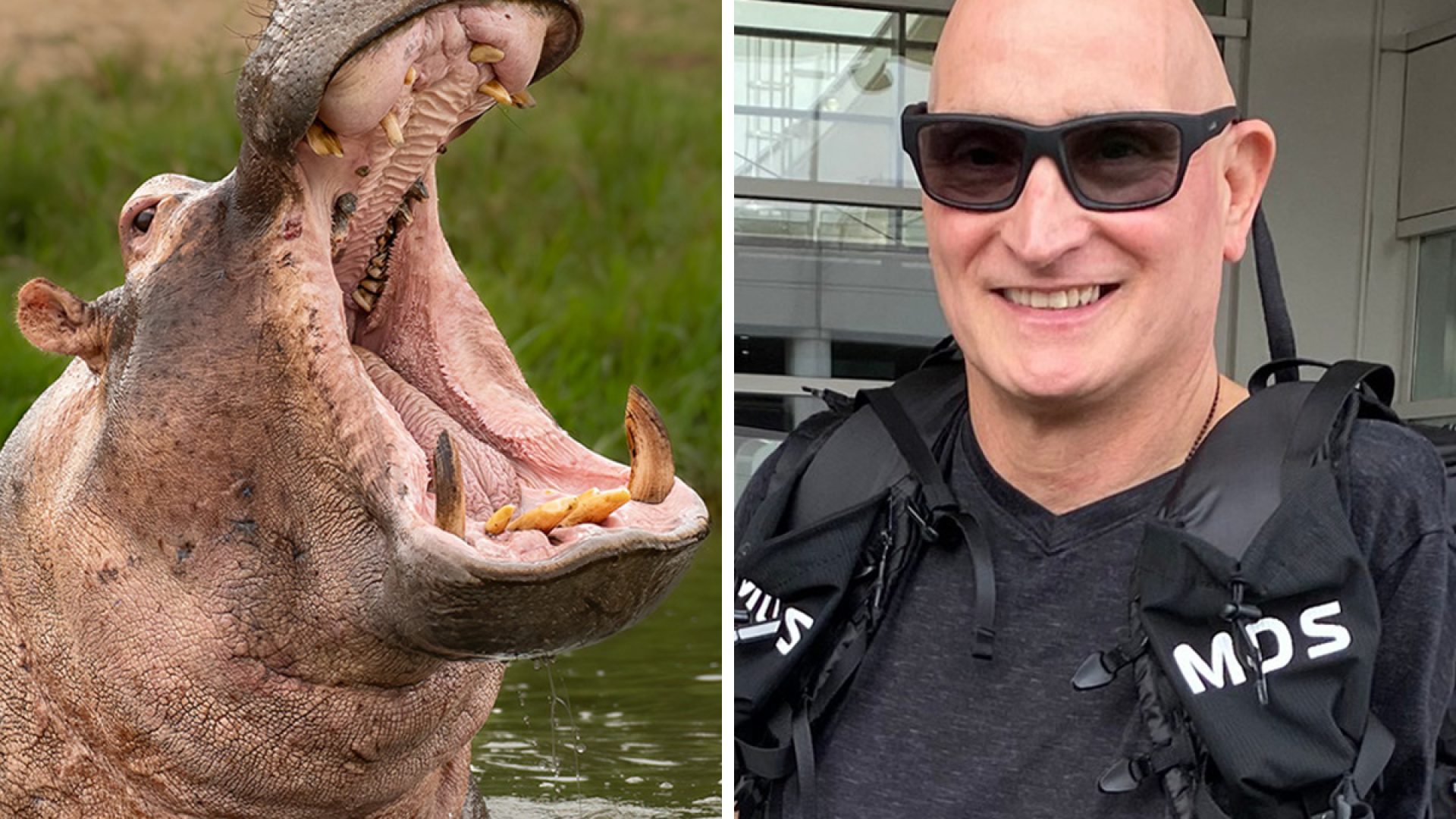 Man “Swallowed by Hippo” Reveals What it Was Like Inside