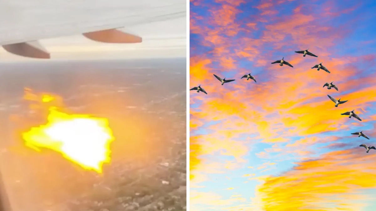 Jet Makes Emergency Landing After Bird Strike Causes Engine Fire