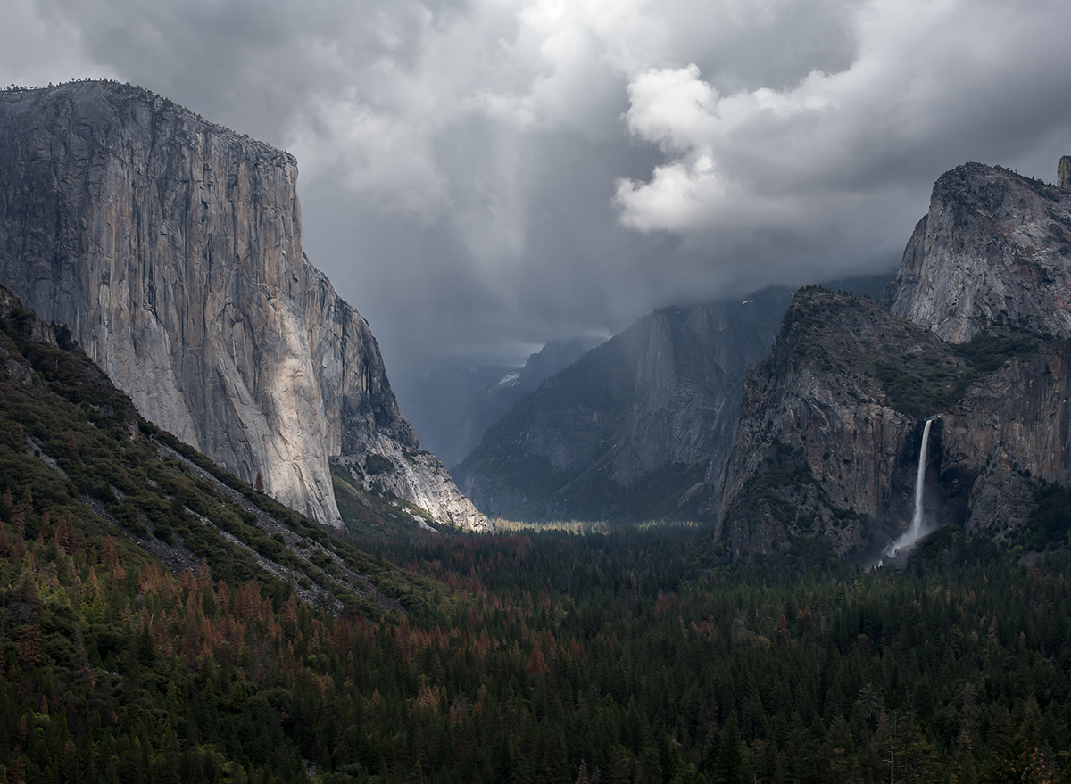 New Gold Rush Sparked in California After Record Rainfall
