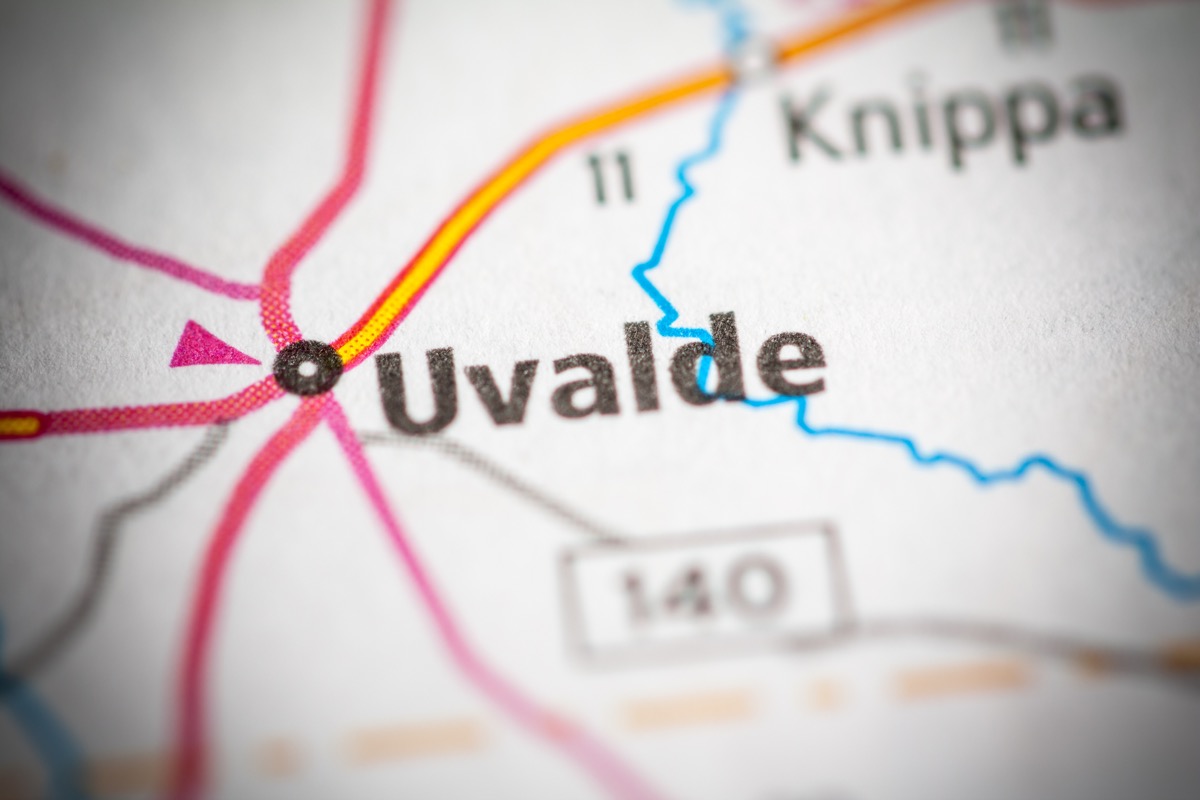 Winnie-the-Pooh Book Teaches Kids How to Survive a Shooting