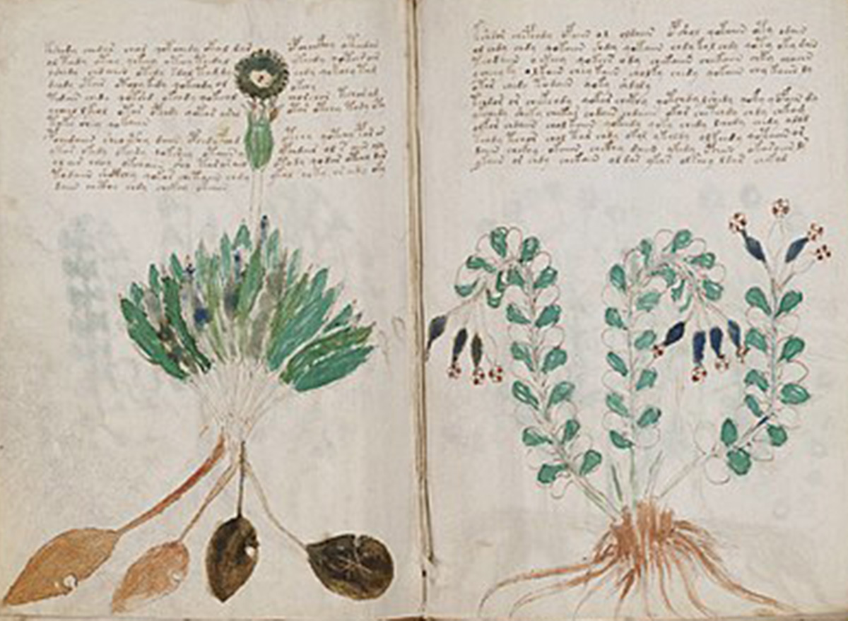 20 Unsolved Mysteries That Will Boggle Your Mind