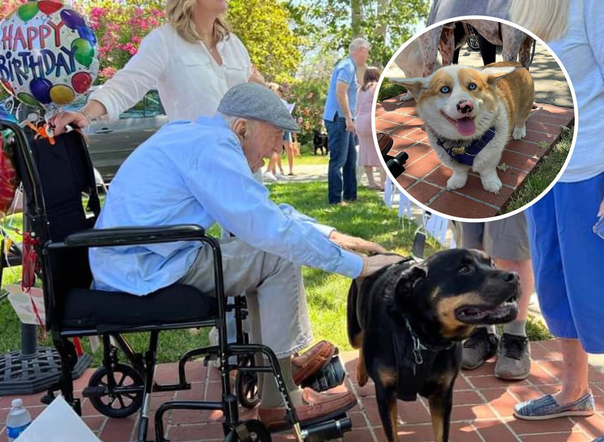 Man's 100th Birthday Wish Was to Pet Dogs, Hundreds Showed Up