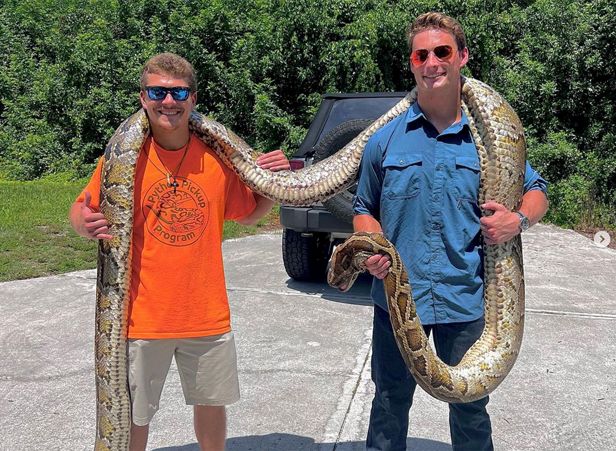 19-Foot Burmese Python is the Largest Ever Caught in Florida
