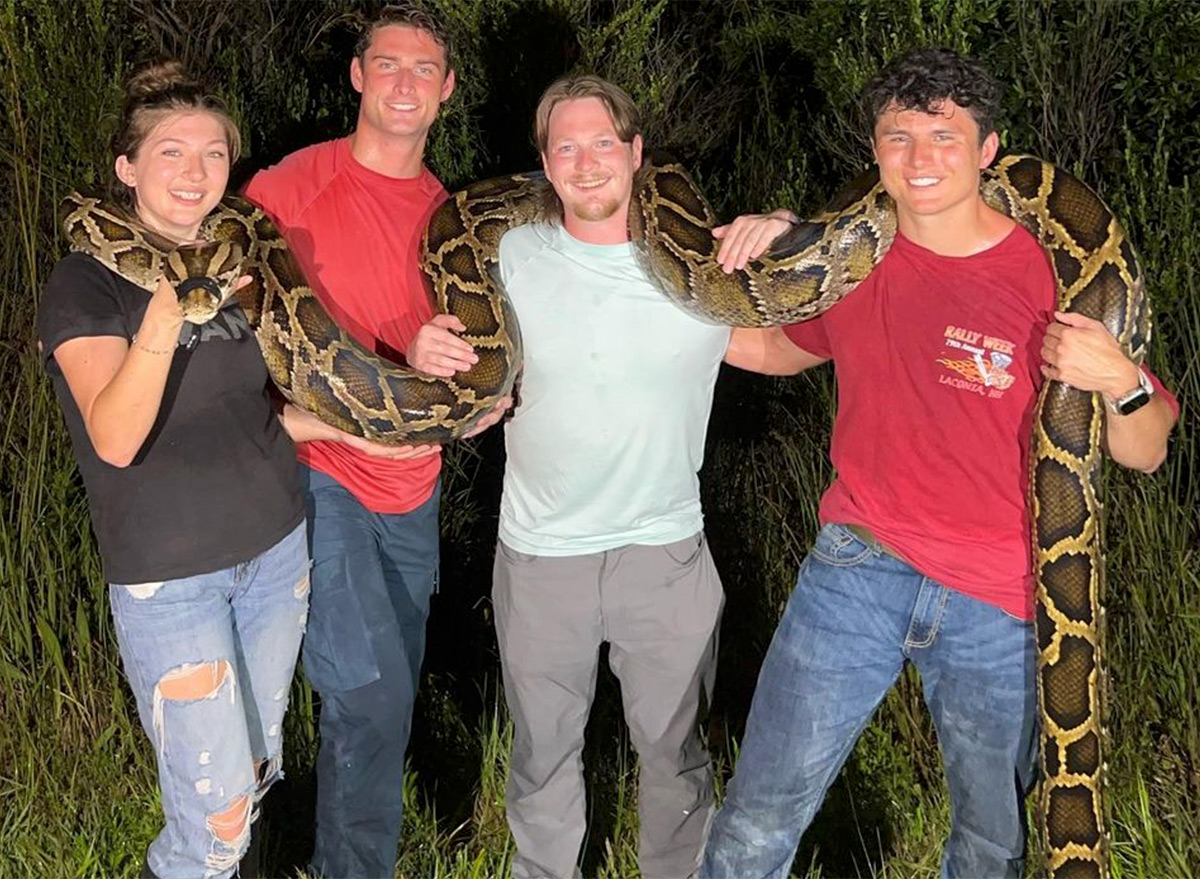 19-Foot Burmese Python is the Largest Ever Caught in Florida