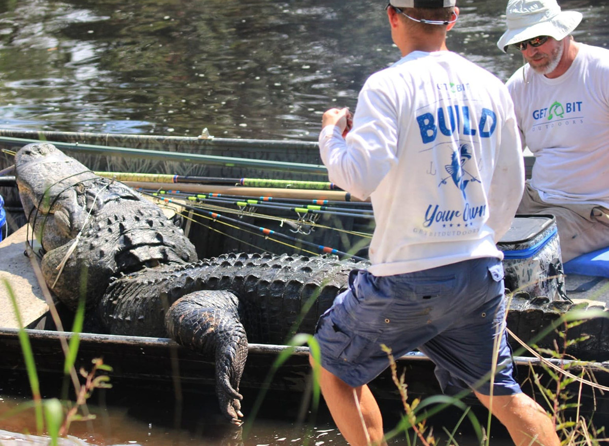 Hunters Fit 13-Foot Alligator in 15-Foot Boat: It Wasn’t Easy