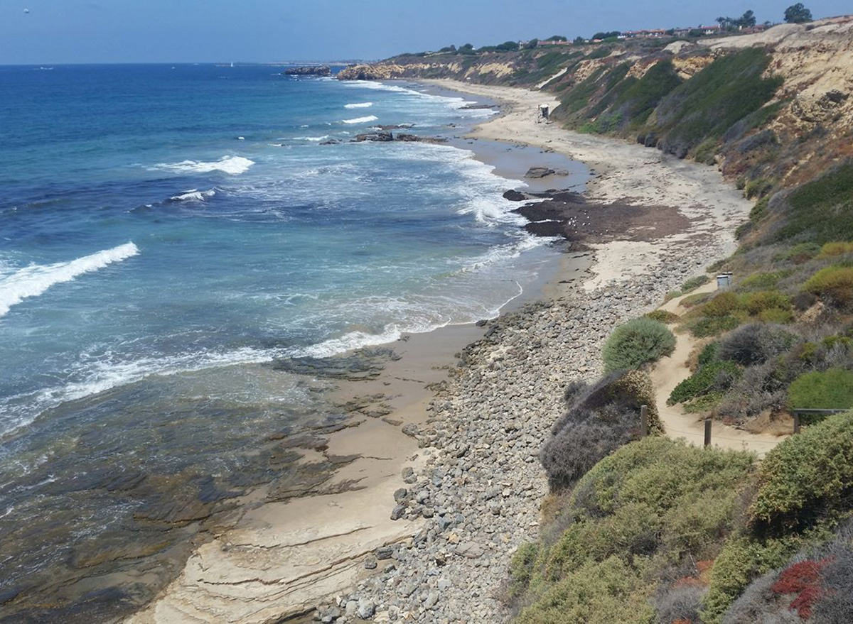 Terrifying Razor-Toothed Pacific Footballfish Washes Up on Beach