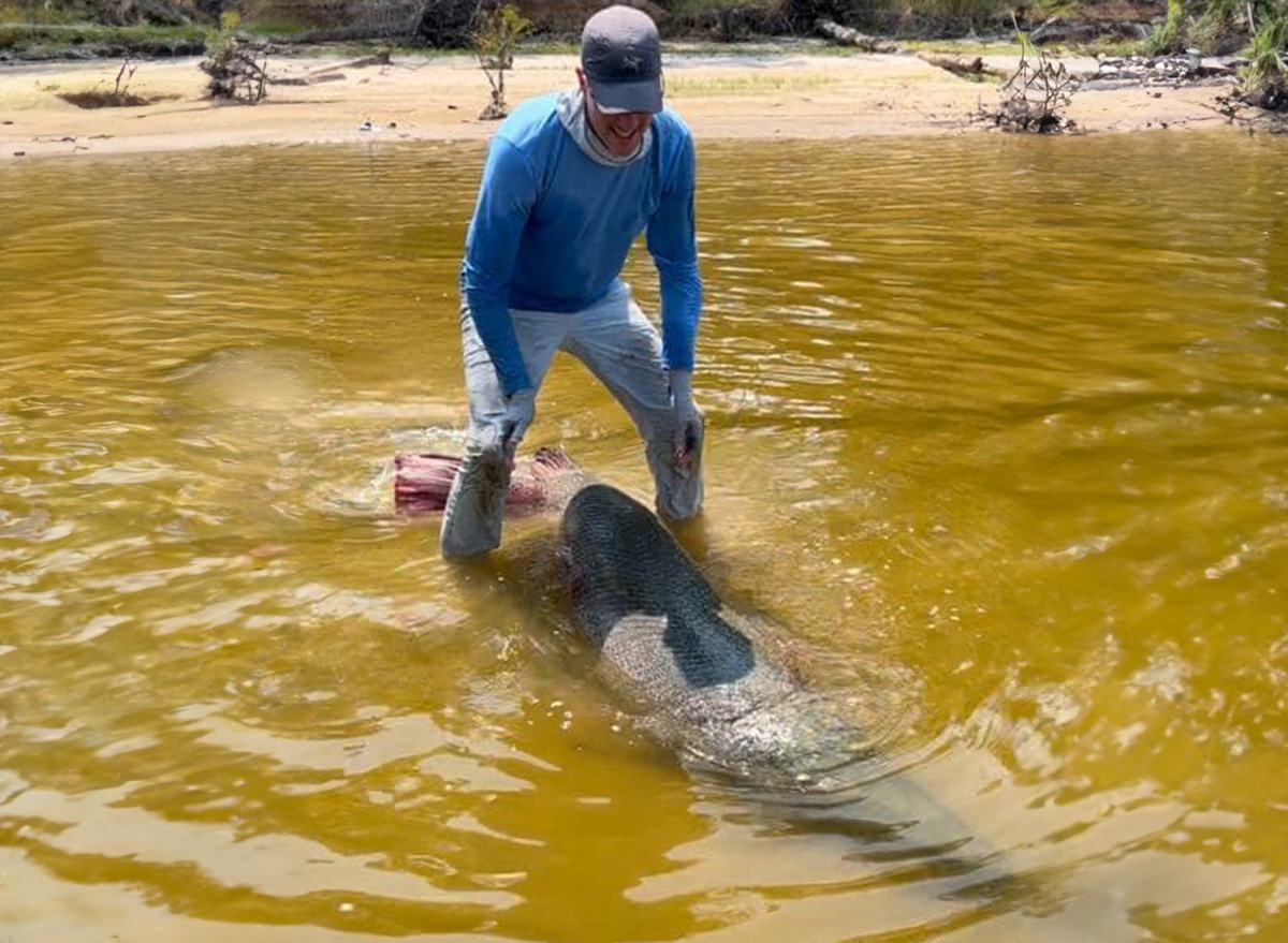 Prehistoric Monster Fish Caught by Fisherman, Could Be Largest