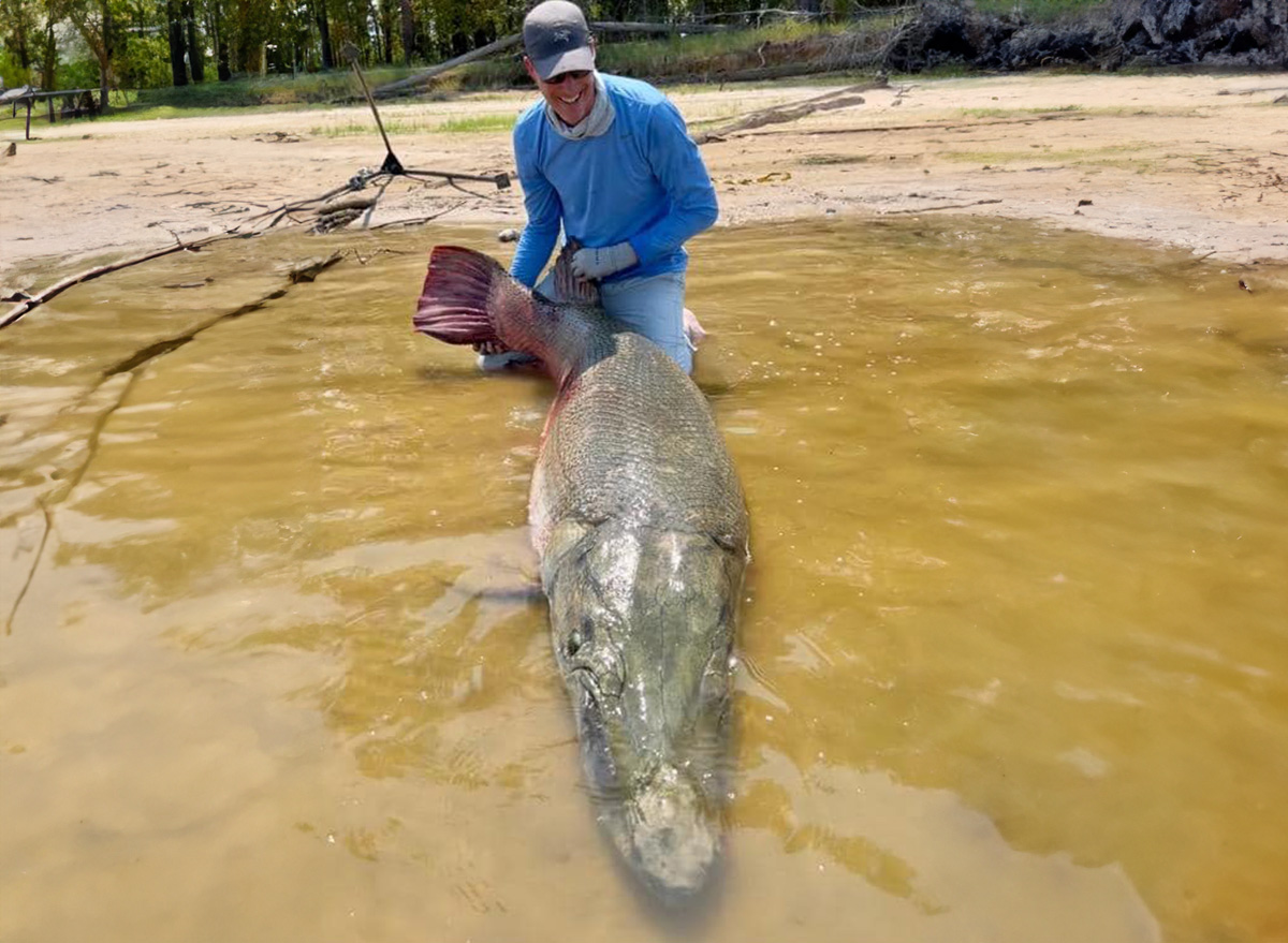 Prehistoric Monster Fish Caught by Fisherman, Could Be Largest