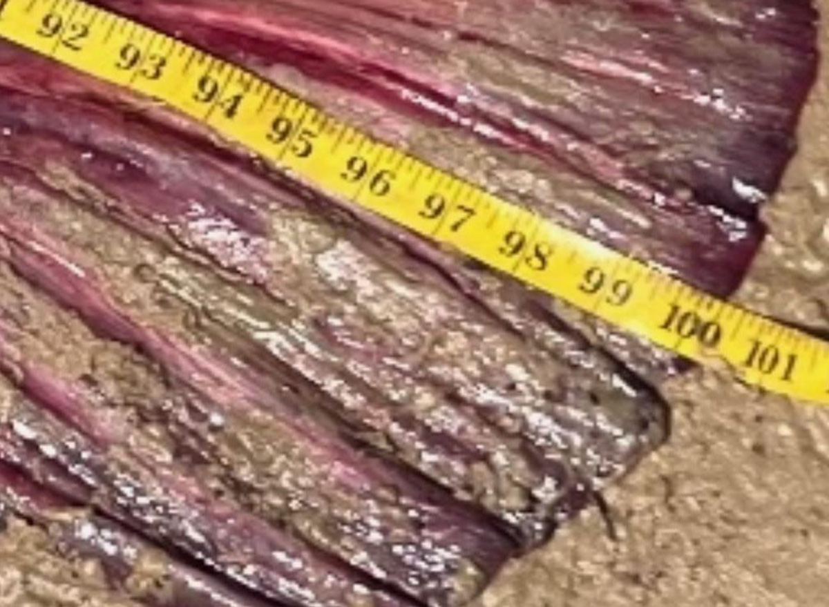 Prehistoric Monster Fish Caught by Fisherman, Could Be Largest